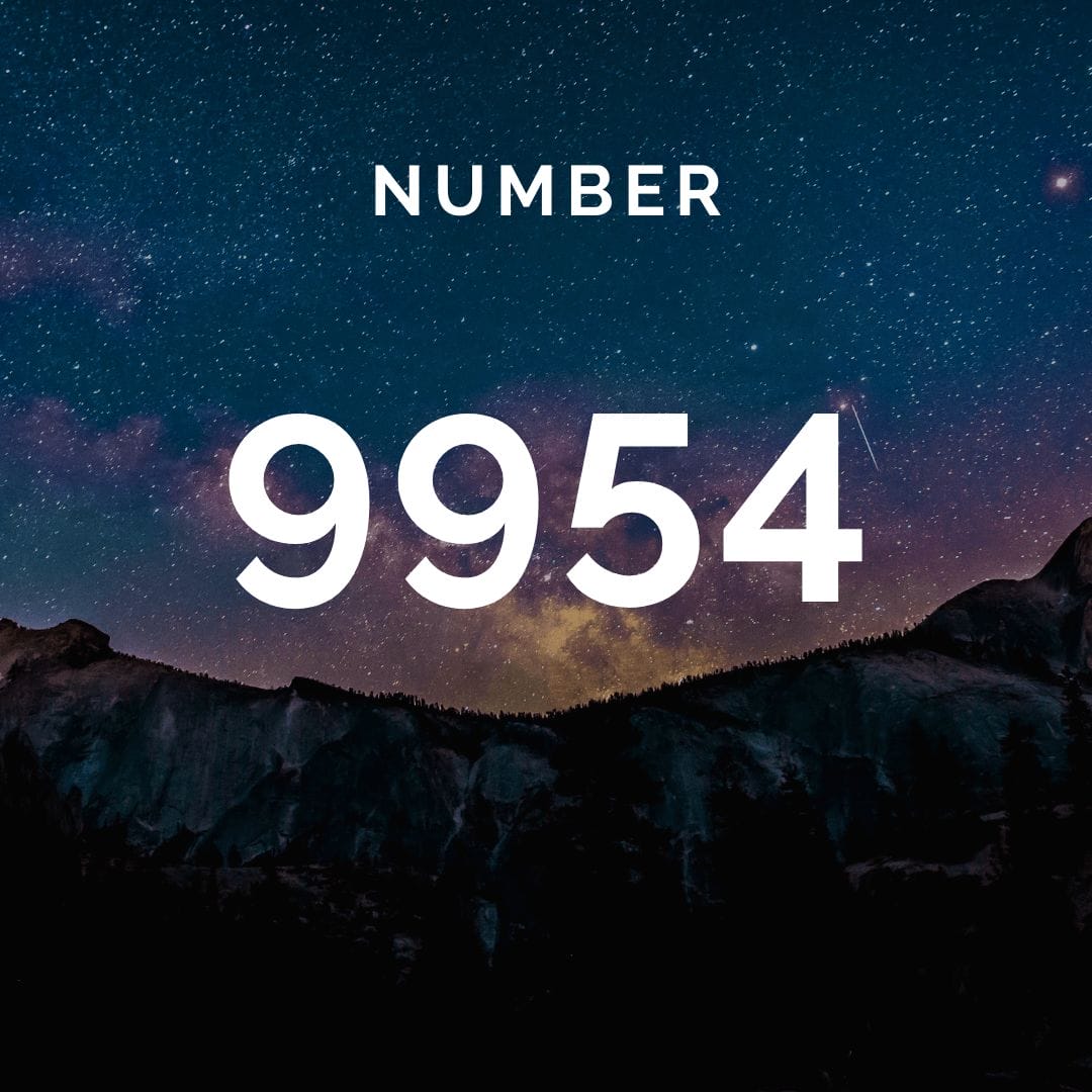 The meaning of the angel number 9954: Sustainability of the future ...