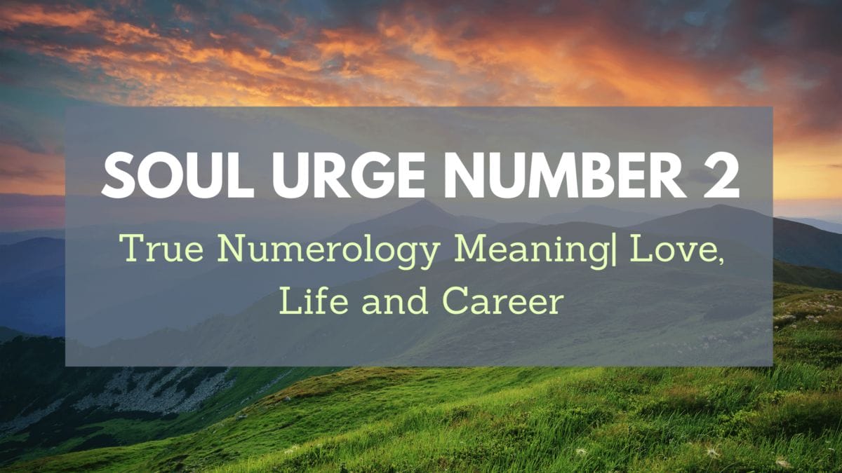 Soul Urge Number 2 - True Numerology Meaning| Love, Life, and Career ...
